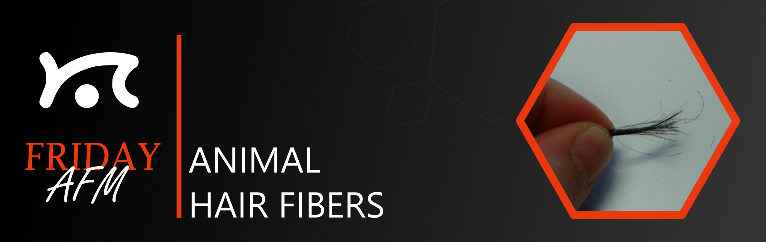 FridayAFM - Animal hair fibers