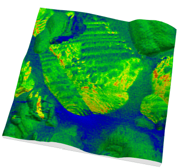 Piezoelectric force microscopy (PFM)