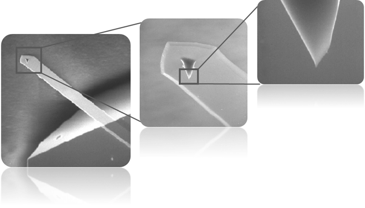 How does AFM Work?