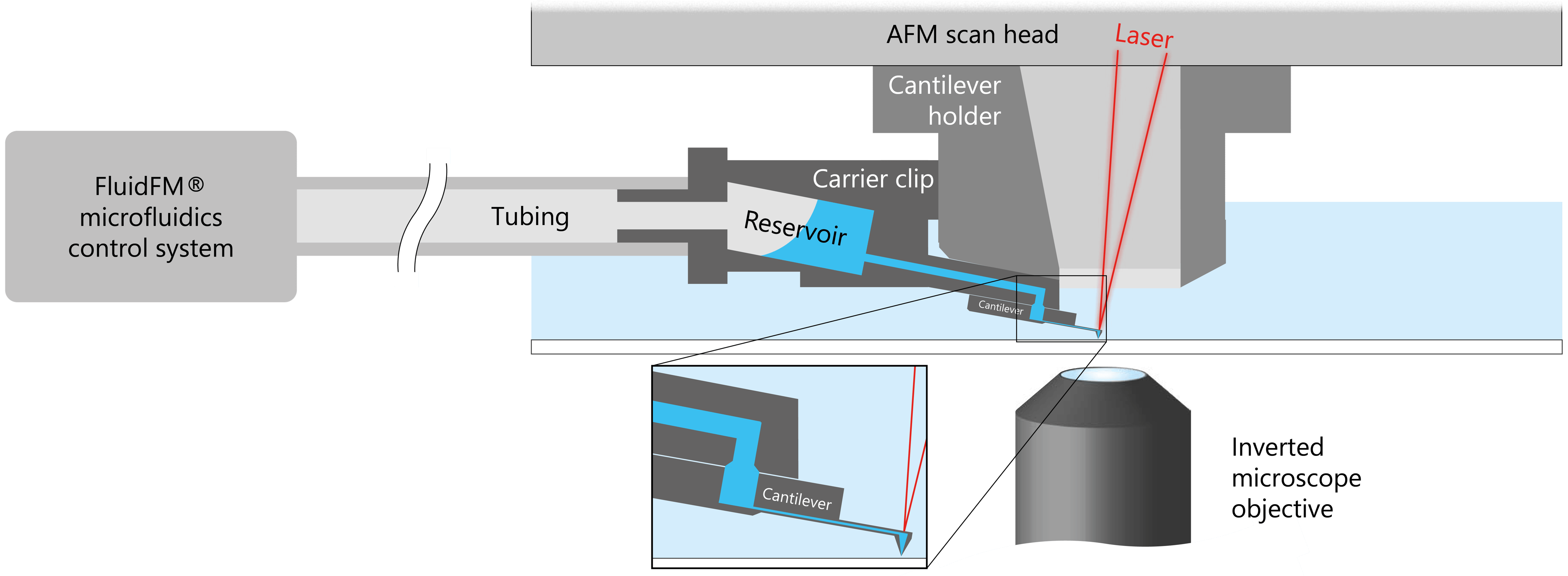 FluidFM - Fluidic force microscopy