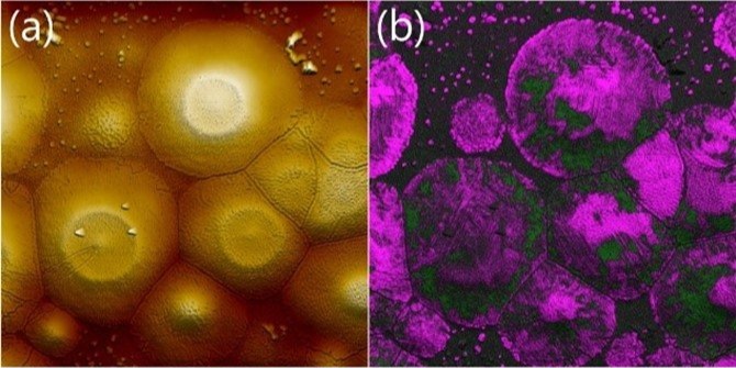 Piezo Force Microscopy (PFM)