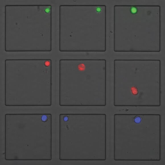 FluidFM - Fluidic force microscopy
